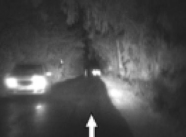 Koito acquires shares in Israeli startup BrightWay Vision - DVN