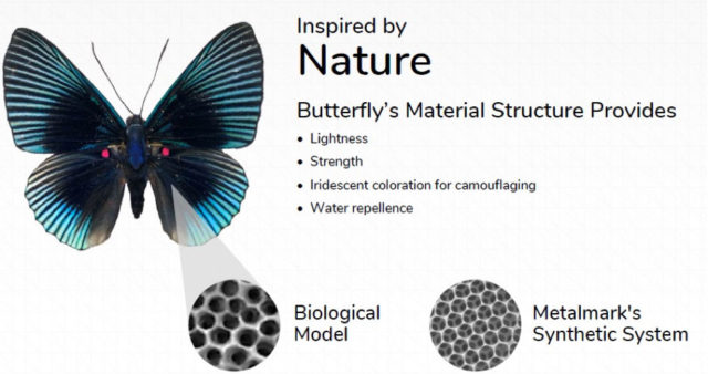 Butterfly Nanostructure Inspires Metalmark Air Purification - DVN