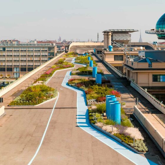 Lighting Archives - DVN